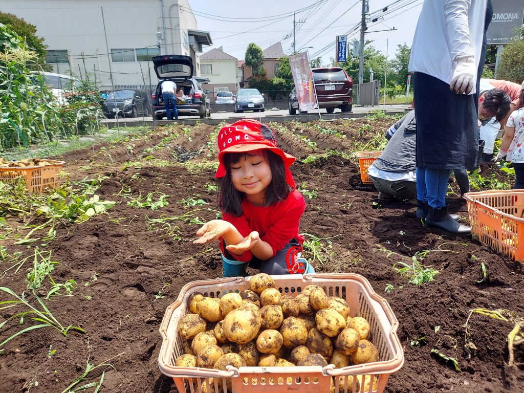 2022年上期 | | 東京で始める貸し農園 会員制農場ポモナ POMONA Membershipfarm